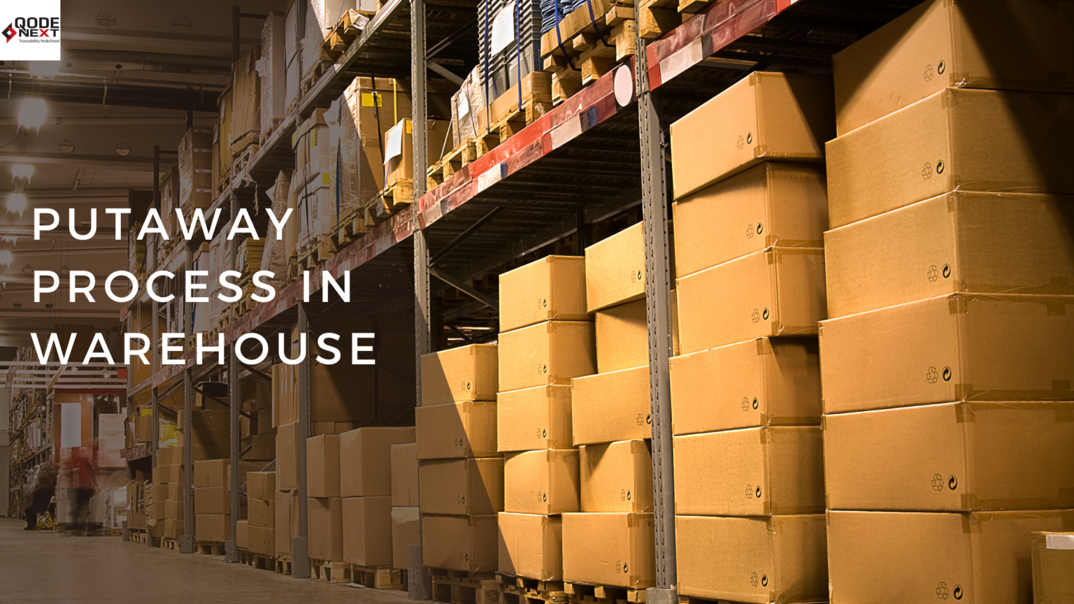 What Is Putaway Process in Warehouse?- A Complete Guide