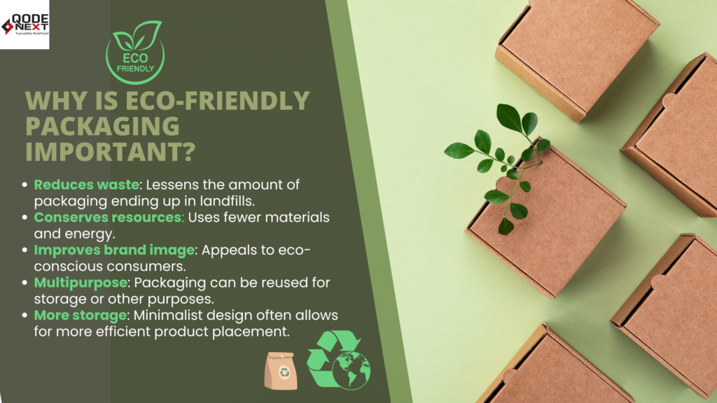 Beyond the Box: Eco-Friendly Packaging Trends and Innovations