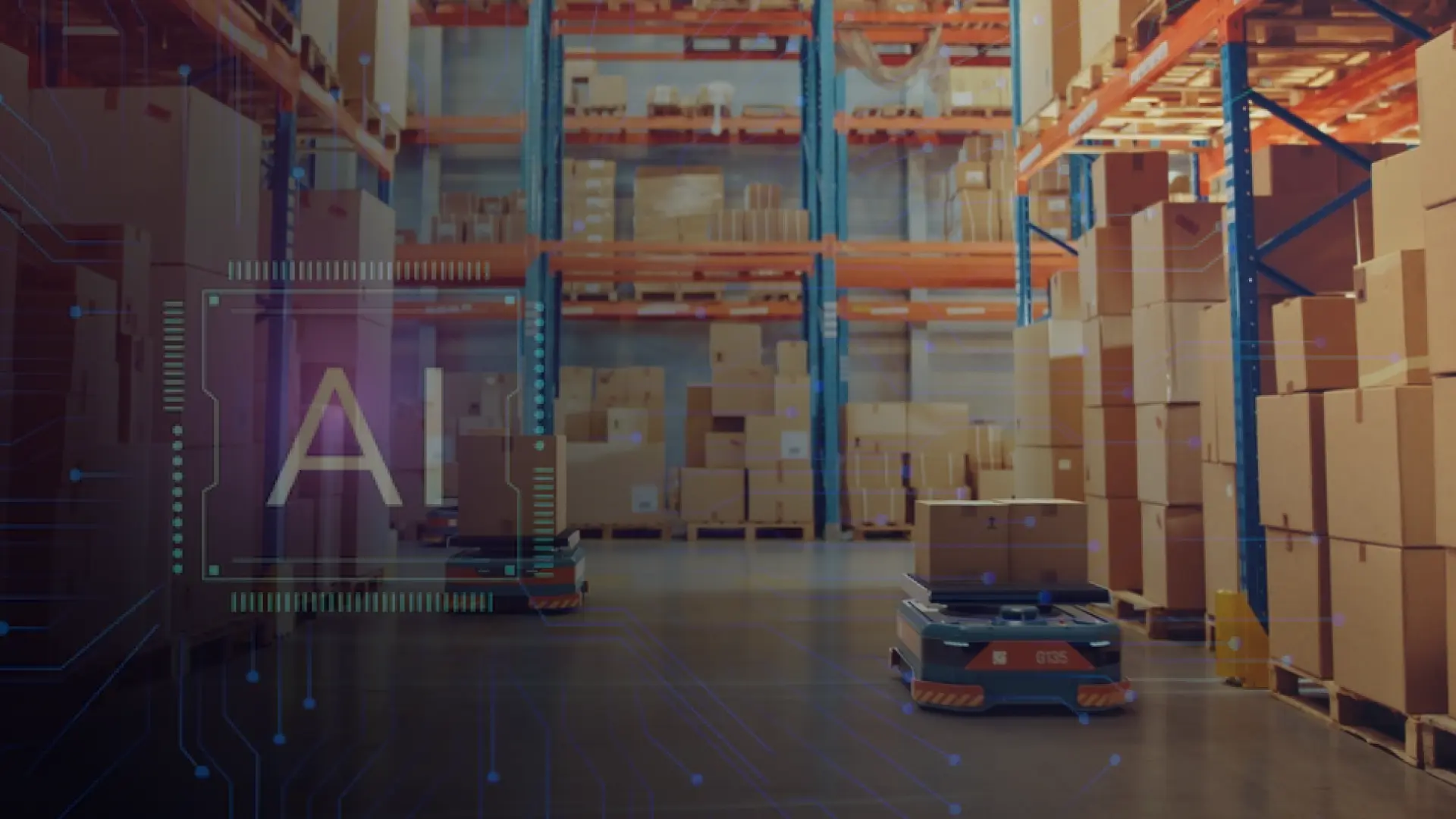 Dark Warehousing: The Future of Automated Fulfillment